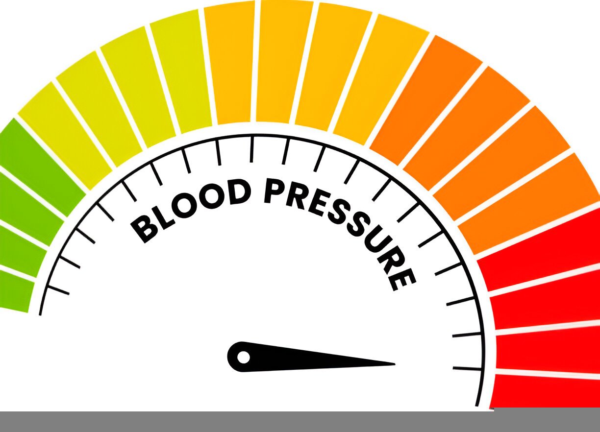 Blood Pressure Chart Excel Template – Free Download – The Fox Click ...